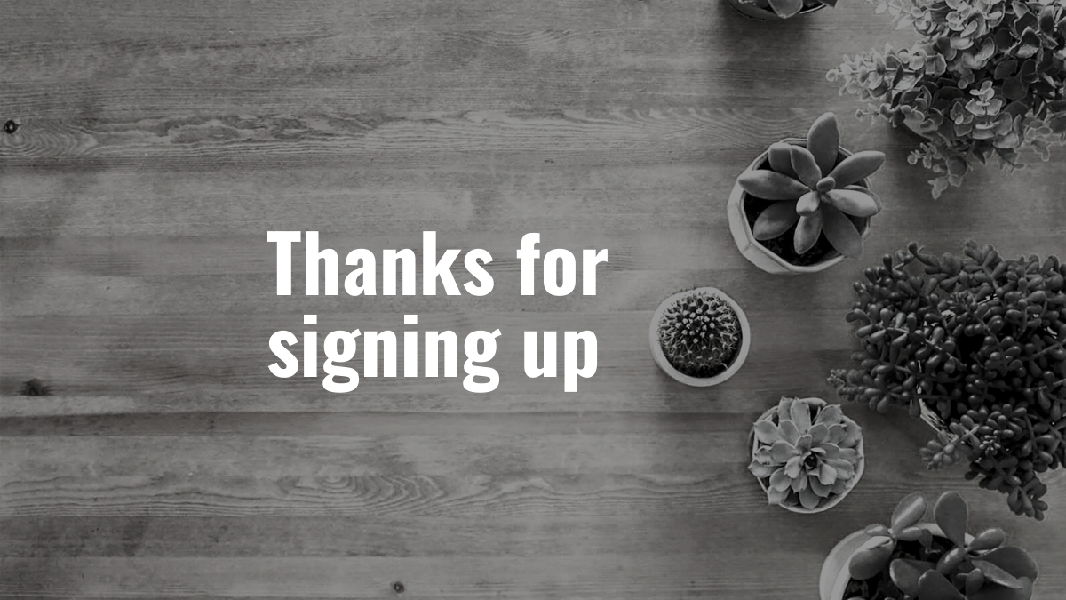 You’re all set, thanks for signing up – The Academic Designer